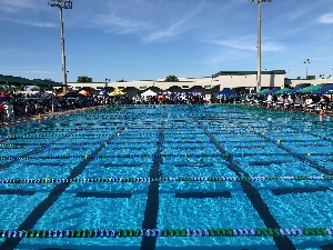 Gulf Coast Swim Team Home