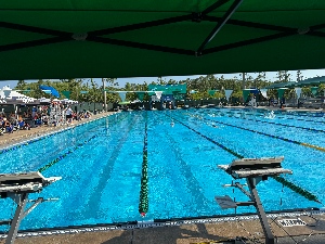 Gulf Coast Swim Team Home