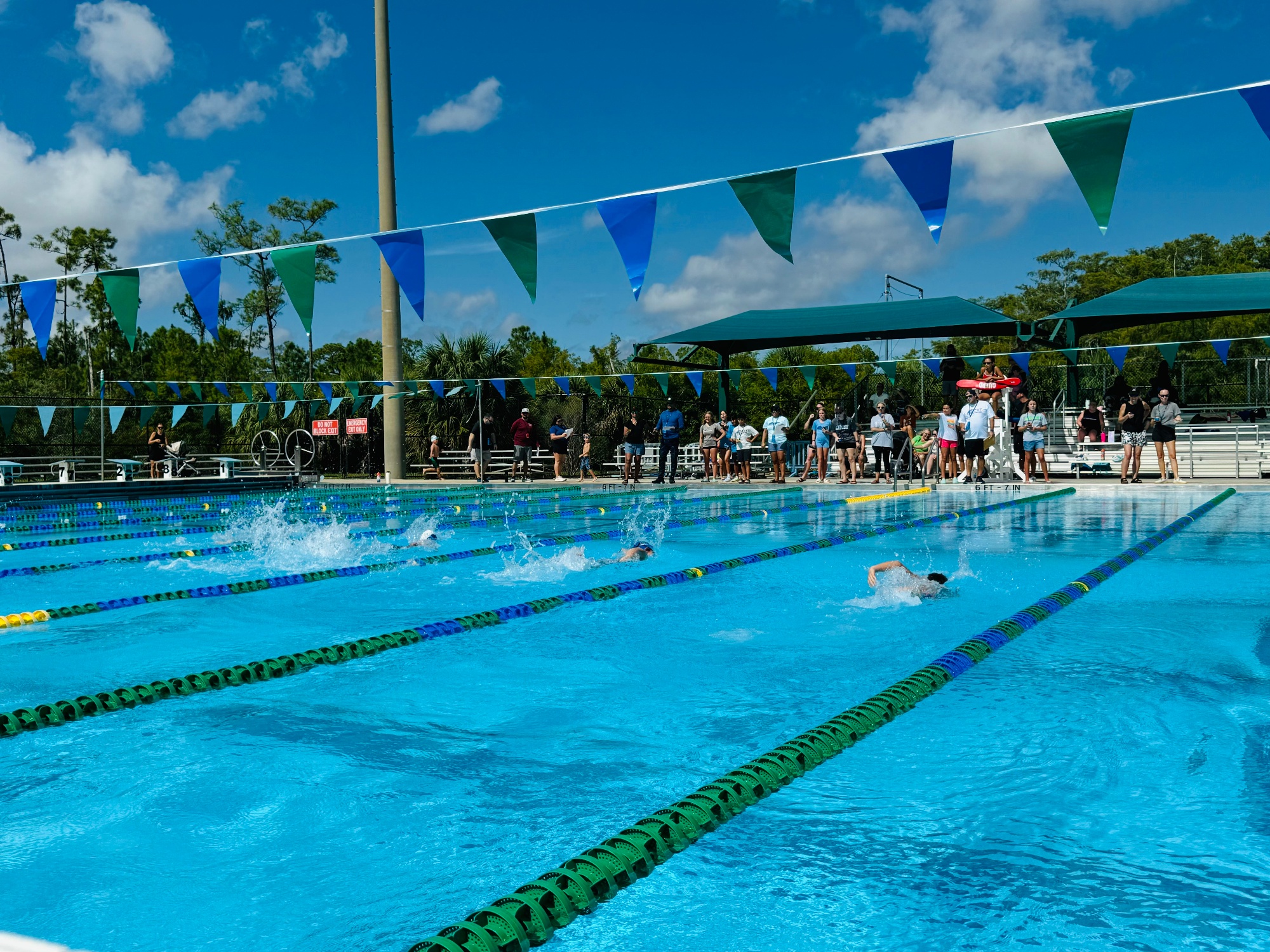 Gulf Coast Swim Team Home